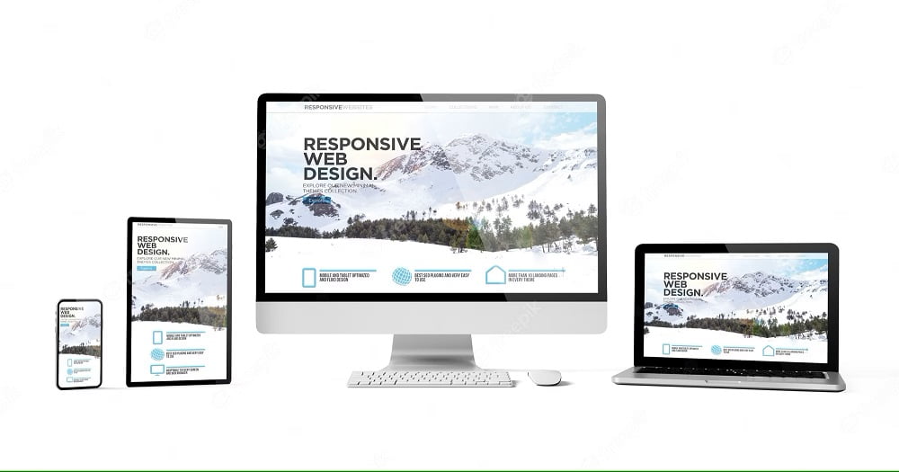 | Your Premier Web Design & Hosting Solution in Lesotho - Bunnypants ...